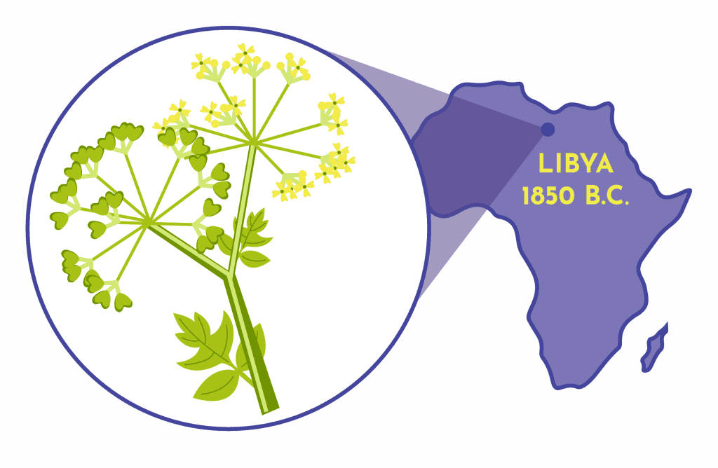 Birth Control Throughout History: Facts, Superstitions, And Wives Tales