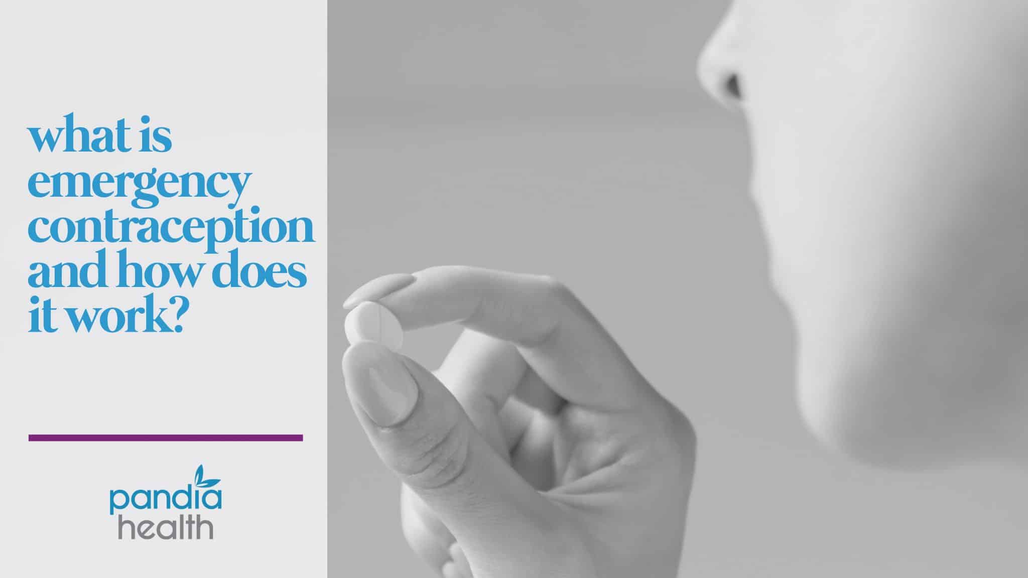 What is Emergency Contraception & How Does it Work - Pandia Health