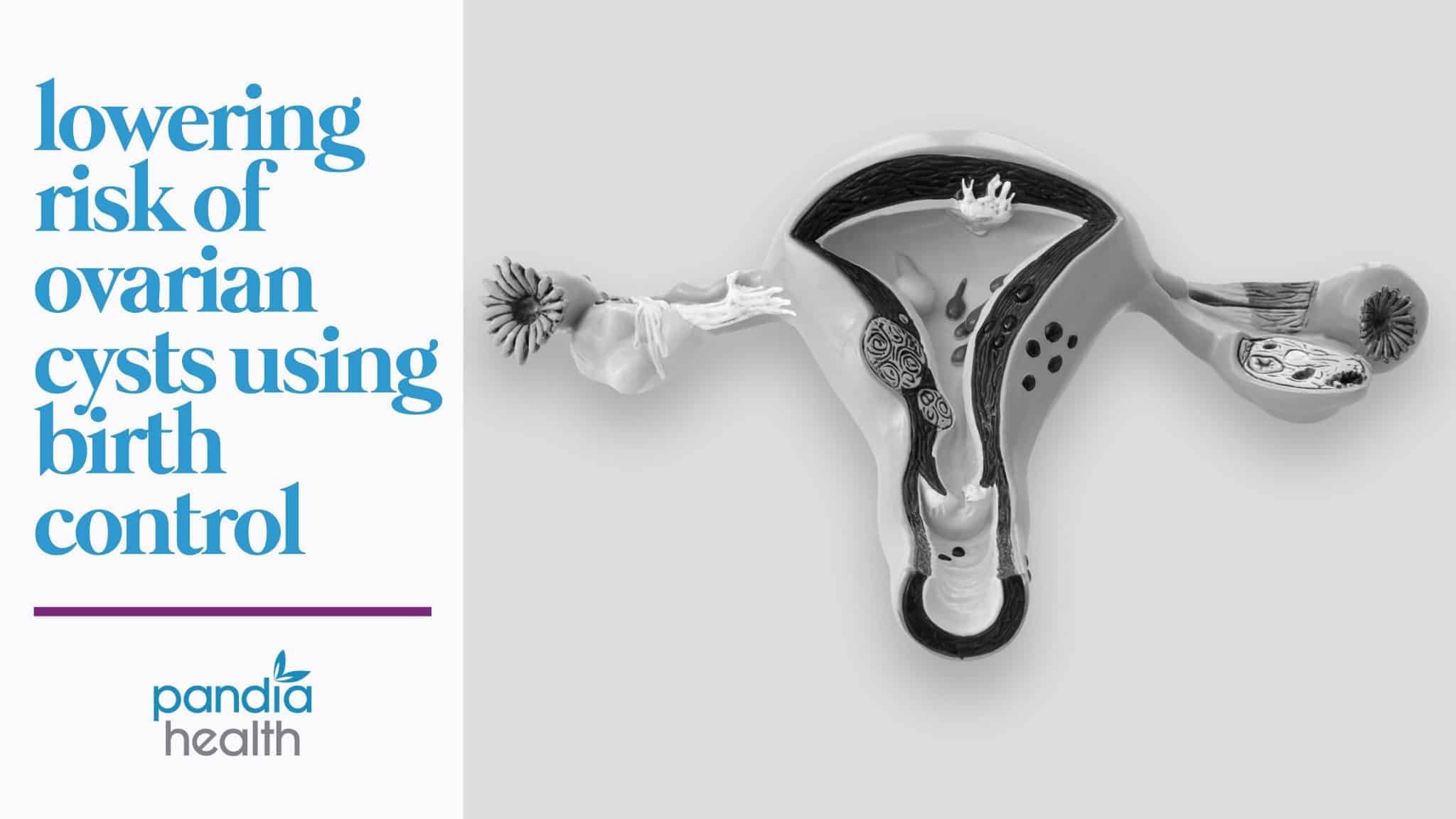 Find The Best Birth Control For Lowering Risk Of Ovarian Cysts